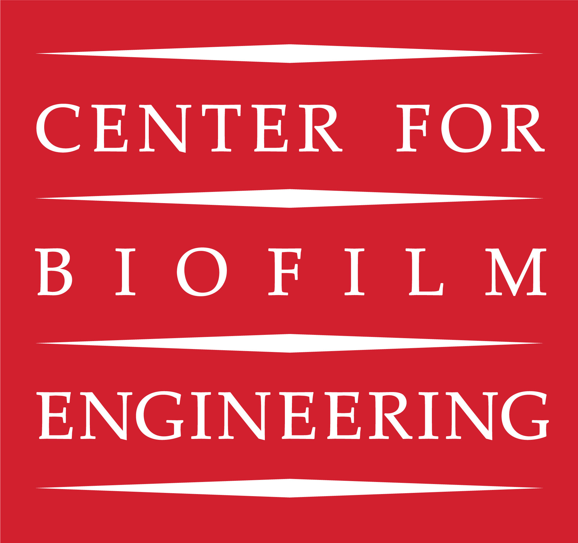 About - Center for Biofilm Engineering | Montana State University
